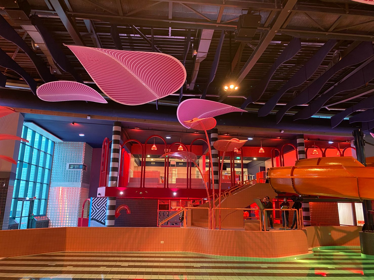 Golden Coast success as exclusive distributor of EVA Optic Specialist ...